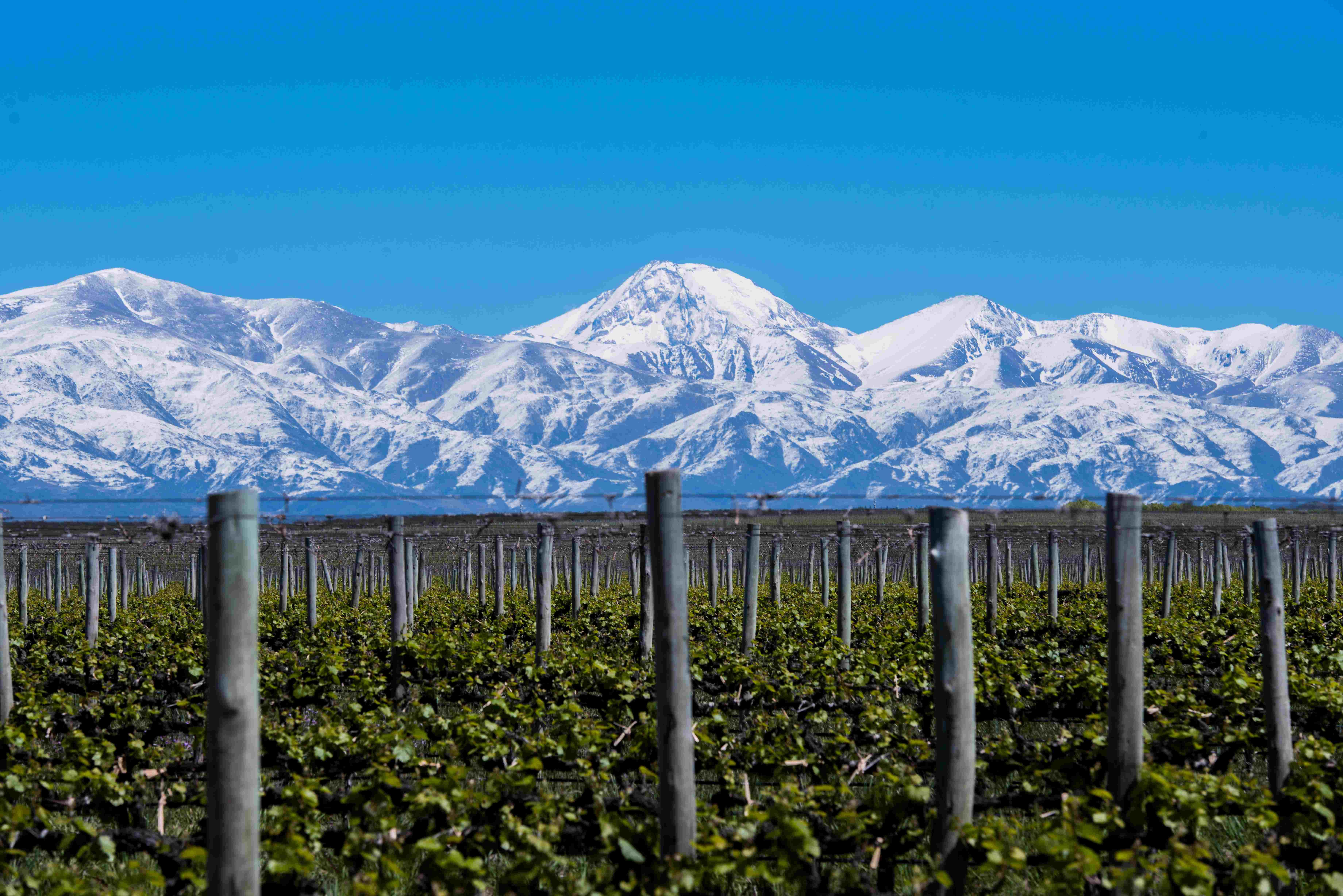 Cordillera De Los Andes Mendoza
