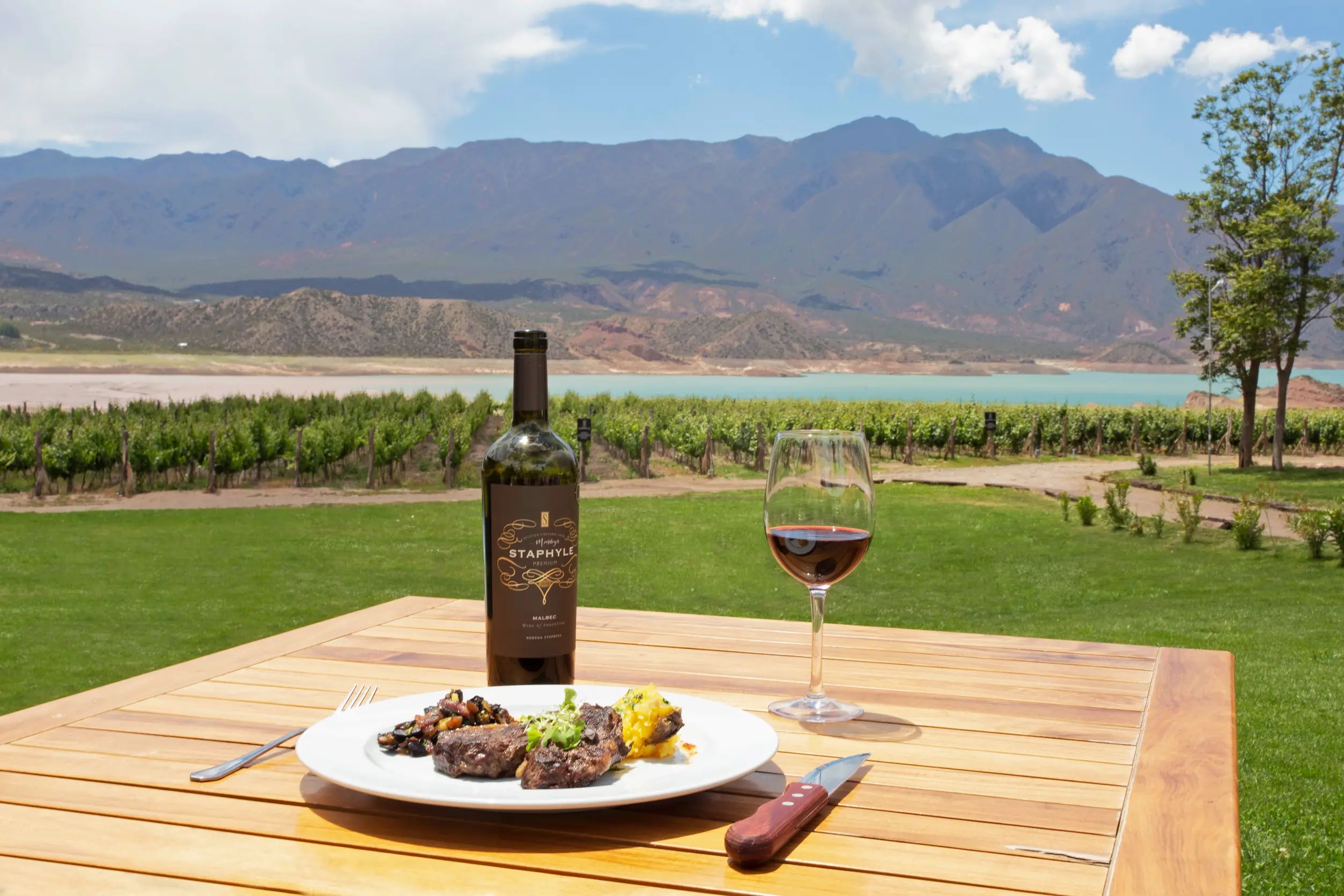 Visit Argentina - Novedades - Mendoza: La capital del vino argentino