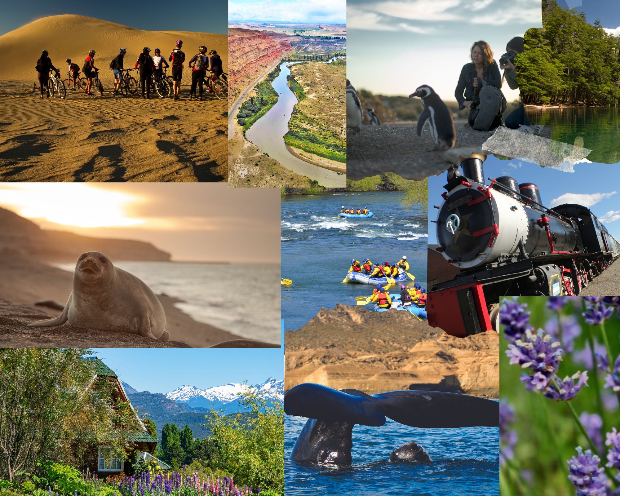 Visit Argentina - News - Reasons to visit Chubut in Spring